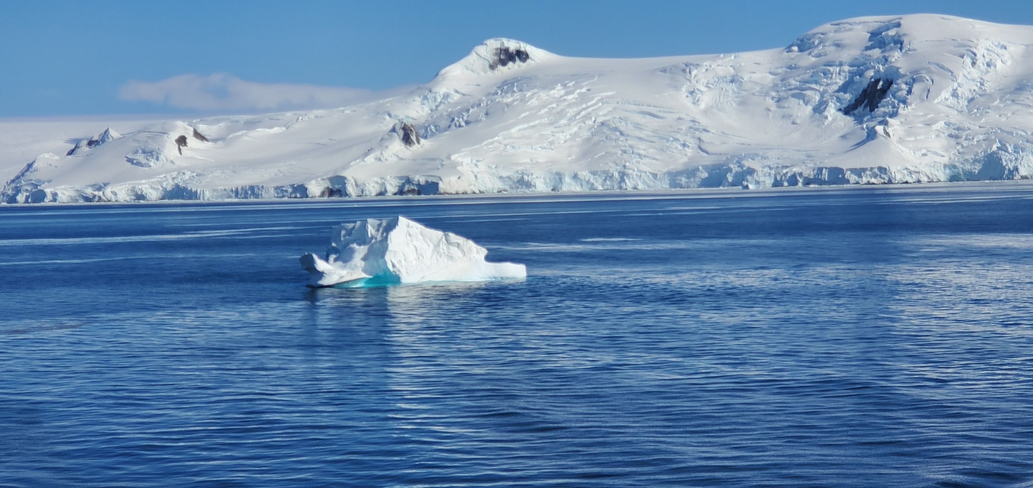 Antarctica Bays