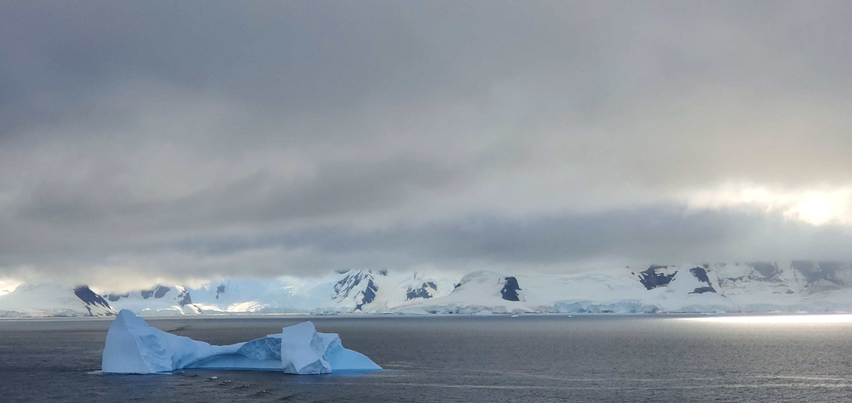 2020 South America/Antarctica: Gerlache Strait, Antarctica - Cruise Talk