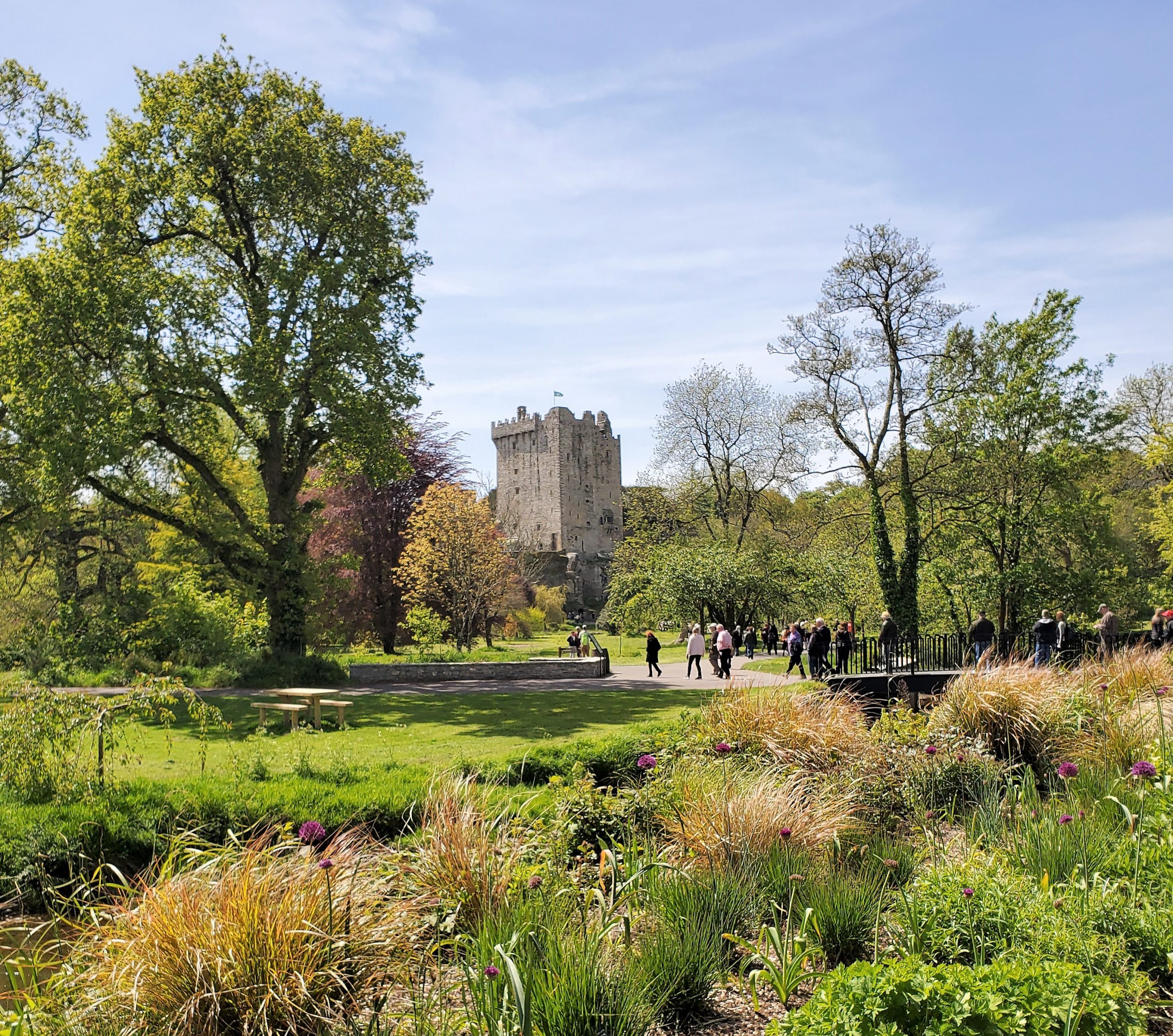 2019 Ireland and Iceland Cruise - Cork, Ireland - Cruise Talk