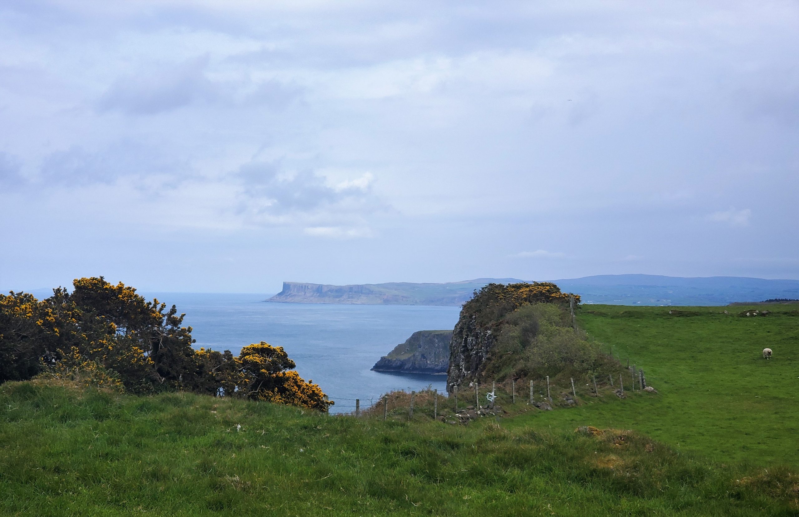 2019 Ireland and Iceland Cruise - Belfast, Northern Ireland - Cruise Talk