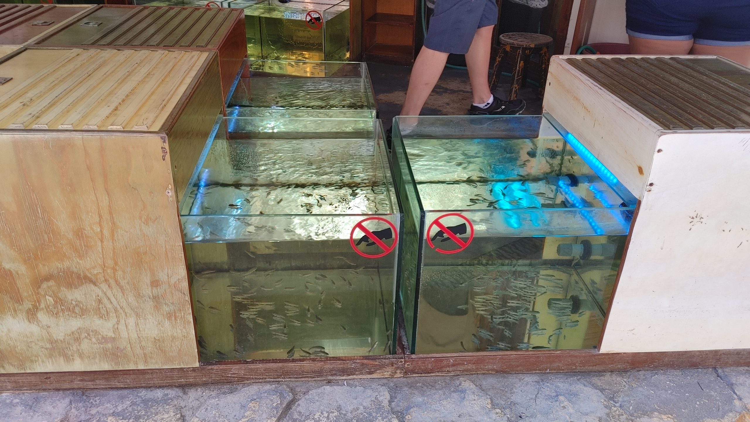 2021 Mayan Sol: Costa Maya, Mexico - Cruise Talk