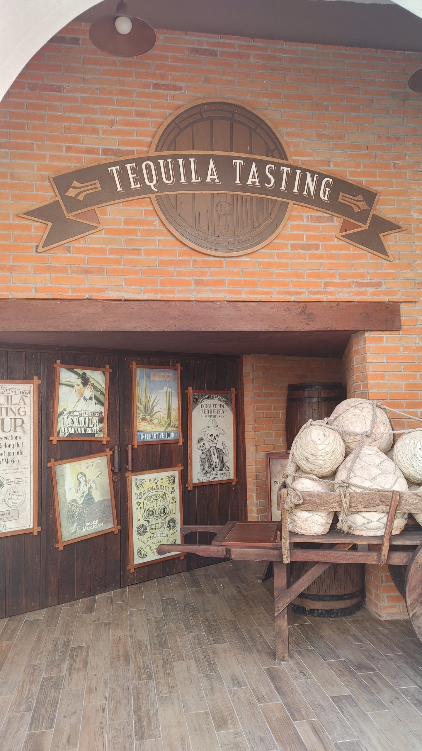 2021 Mayan Sol: Costa Maya, Mexico - Cruise Talk