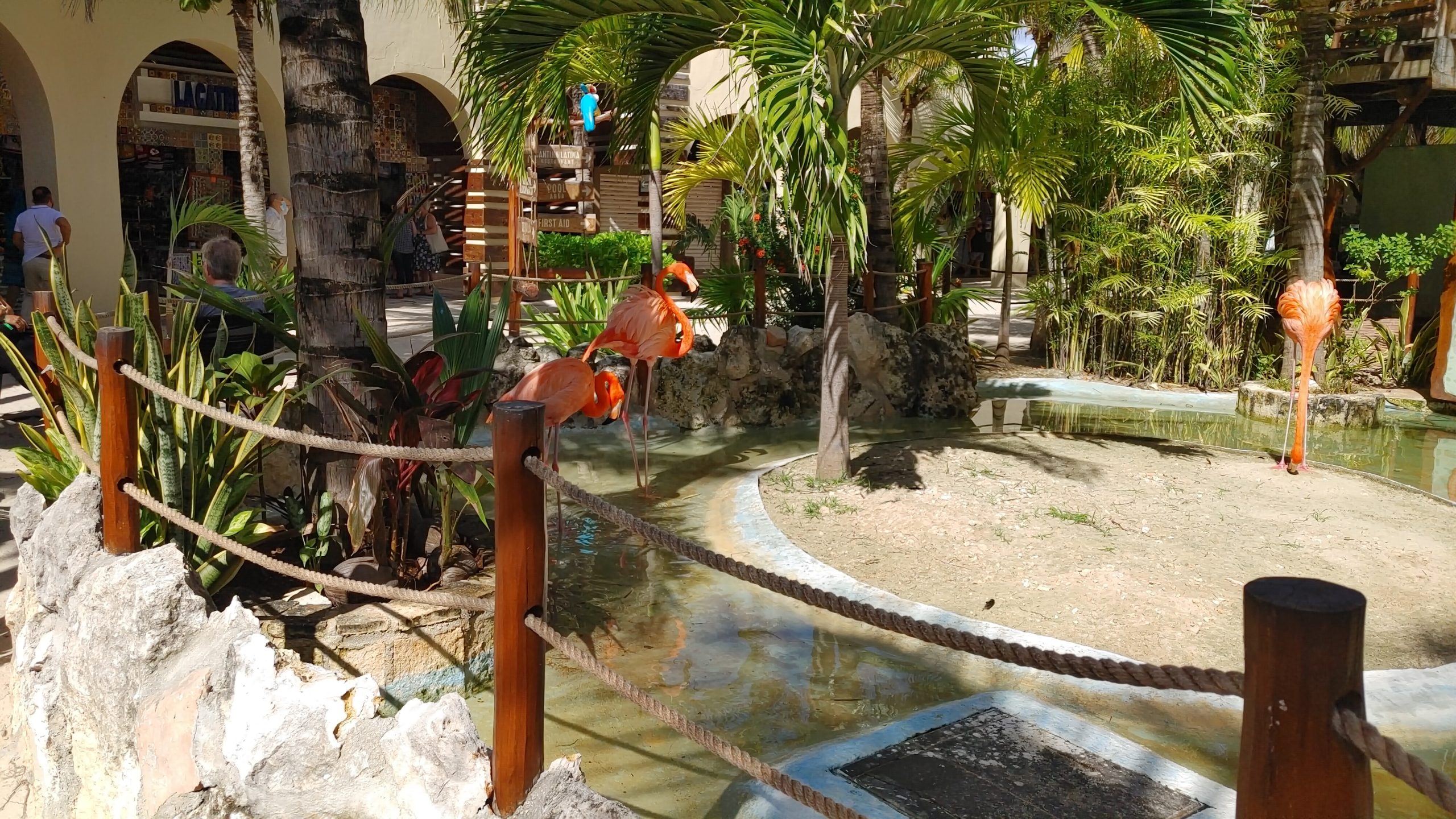 2021 Mayan Sol: Costa Maya, Mexico - Cruise Talk