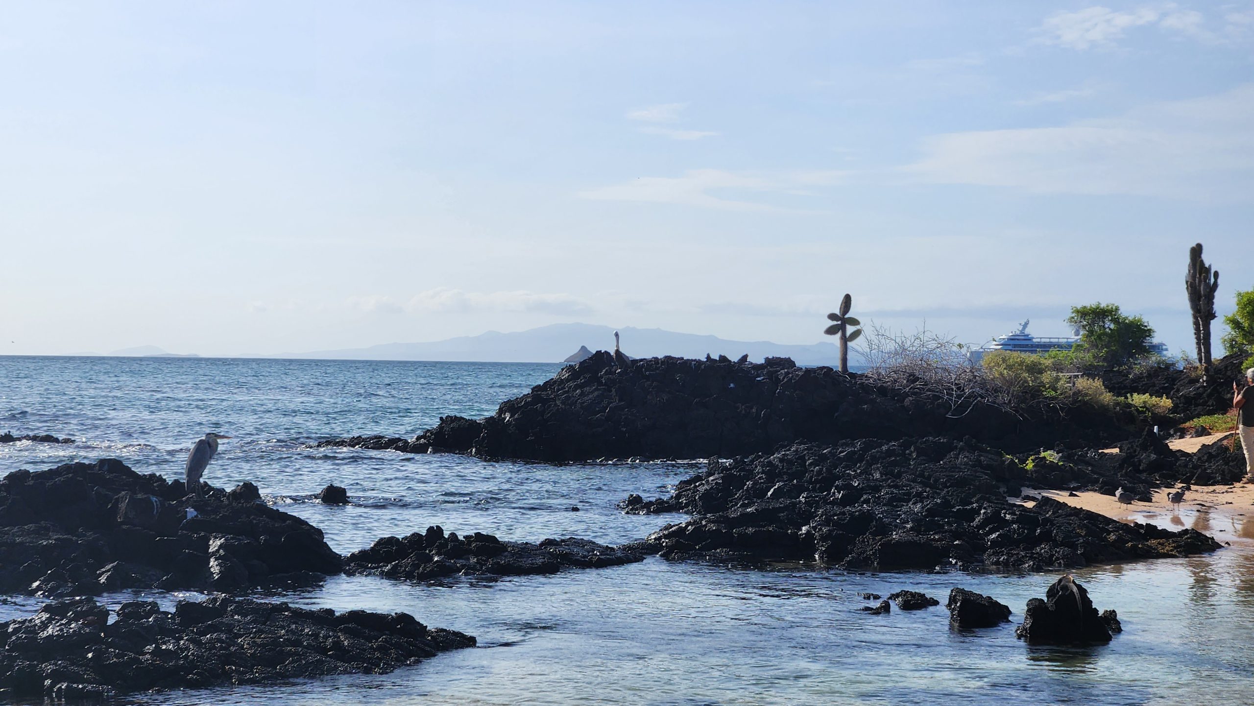 2023 Galapagos Outer Loop Cruise - Dragon Hill (Santa Cruz), Galapagos ...